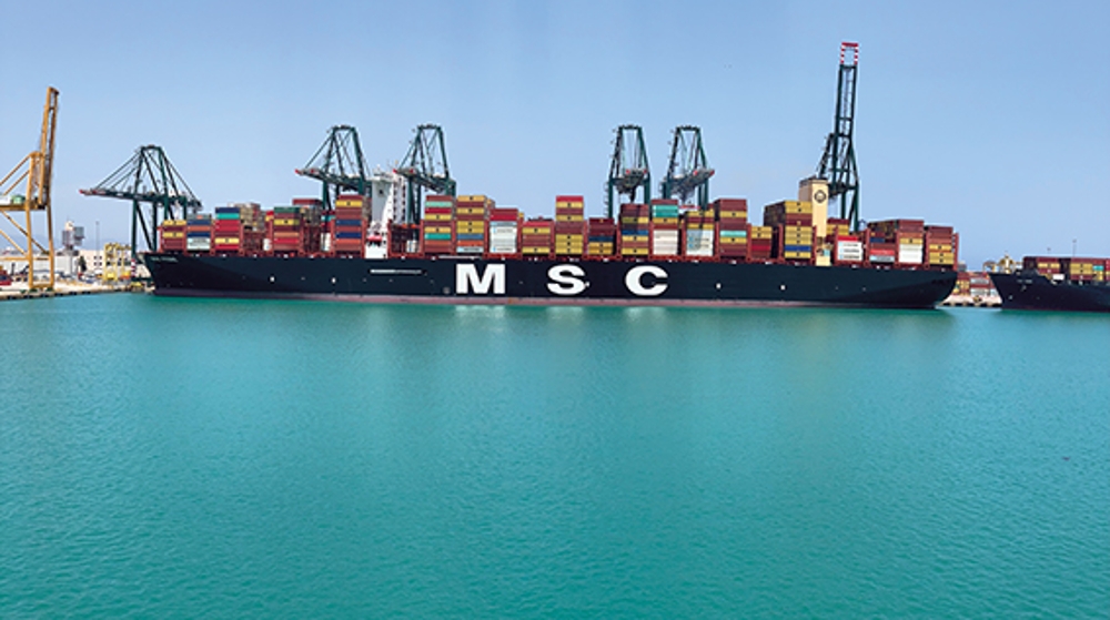 Hasta ocho grúas hacen frente en Valencia simultáneamente a la escala del “MSC Febe”