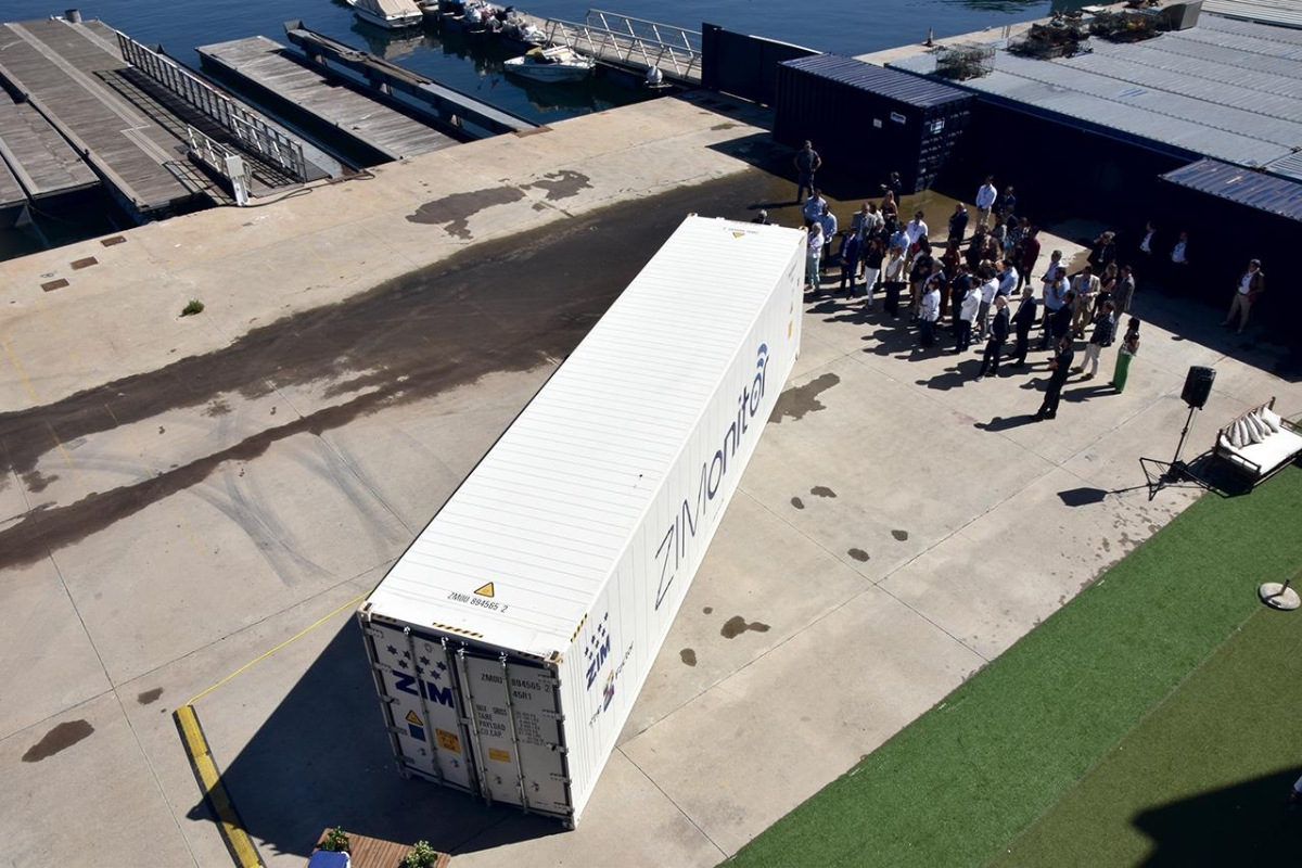 ZIM Integrated Shipping Services fija como objetivo aumentar sus ...