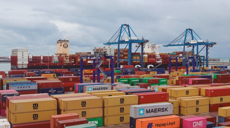 El “MSC Carole” conecta Bilbao con Sudamérica y bate récords en el ...