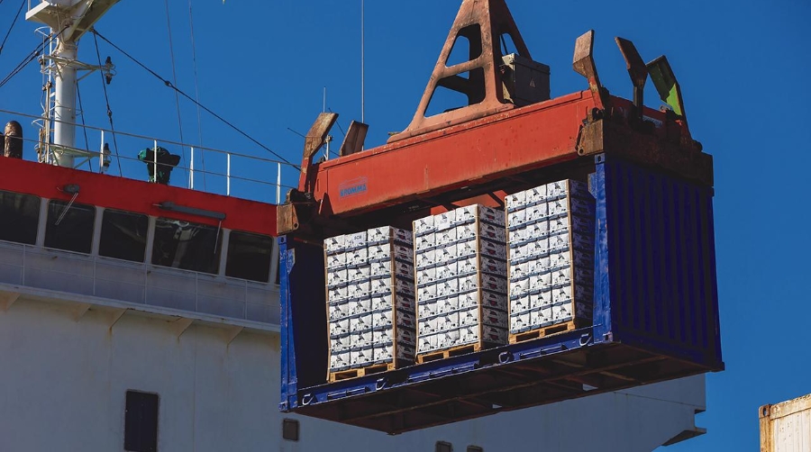 Puertos del Estado impulsa el tráfico hortofrutícola en los enclaves ...