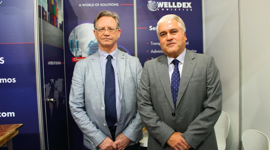 Welldex se consolida en el mercado español.